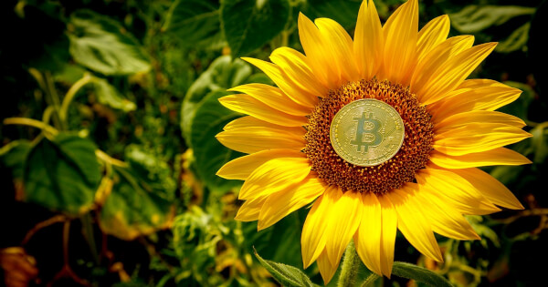 MassCrypto Founder Alyze Sam Believes in a Correctly Operating DAO ...