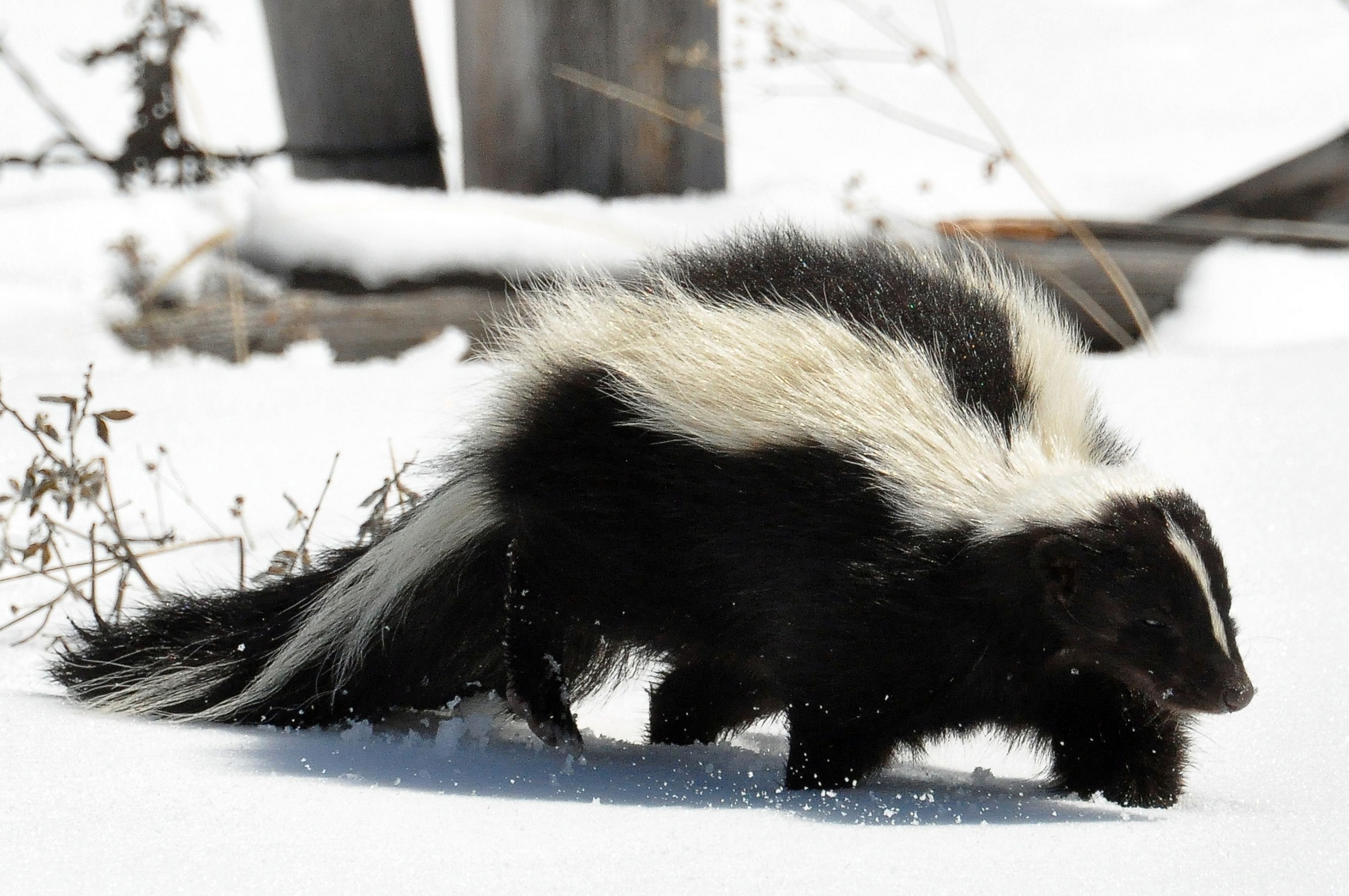 How to Find The Stinky Parts of Your Code [Part XV] | HackerNoon