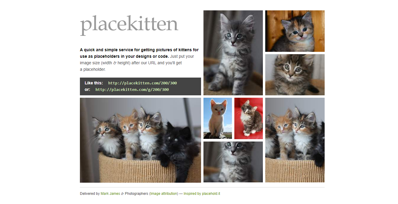 The Placeholder Tools that Boost Productivity for Developers and ...