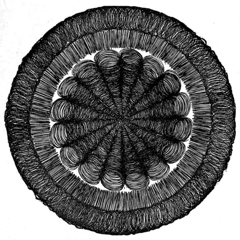 The Palmer Method of Business Writing: Lesson 51 | HackerNoon