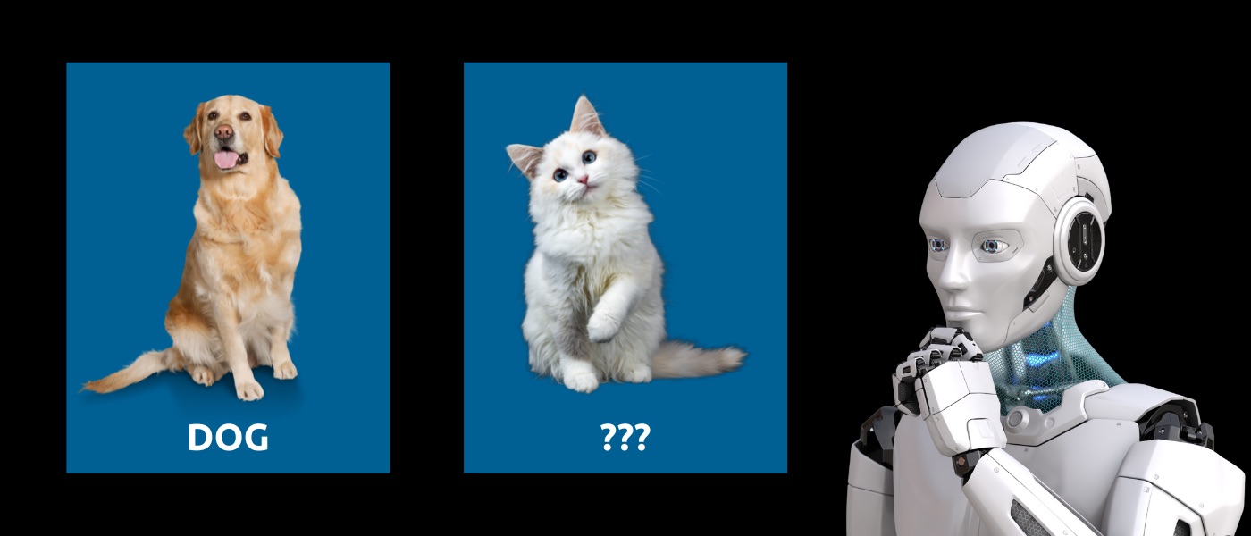 Model Evaluation With Proper Scoring Rules: A No-Math Introduction | HackerNoon